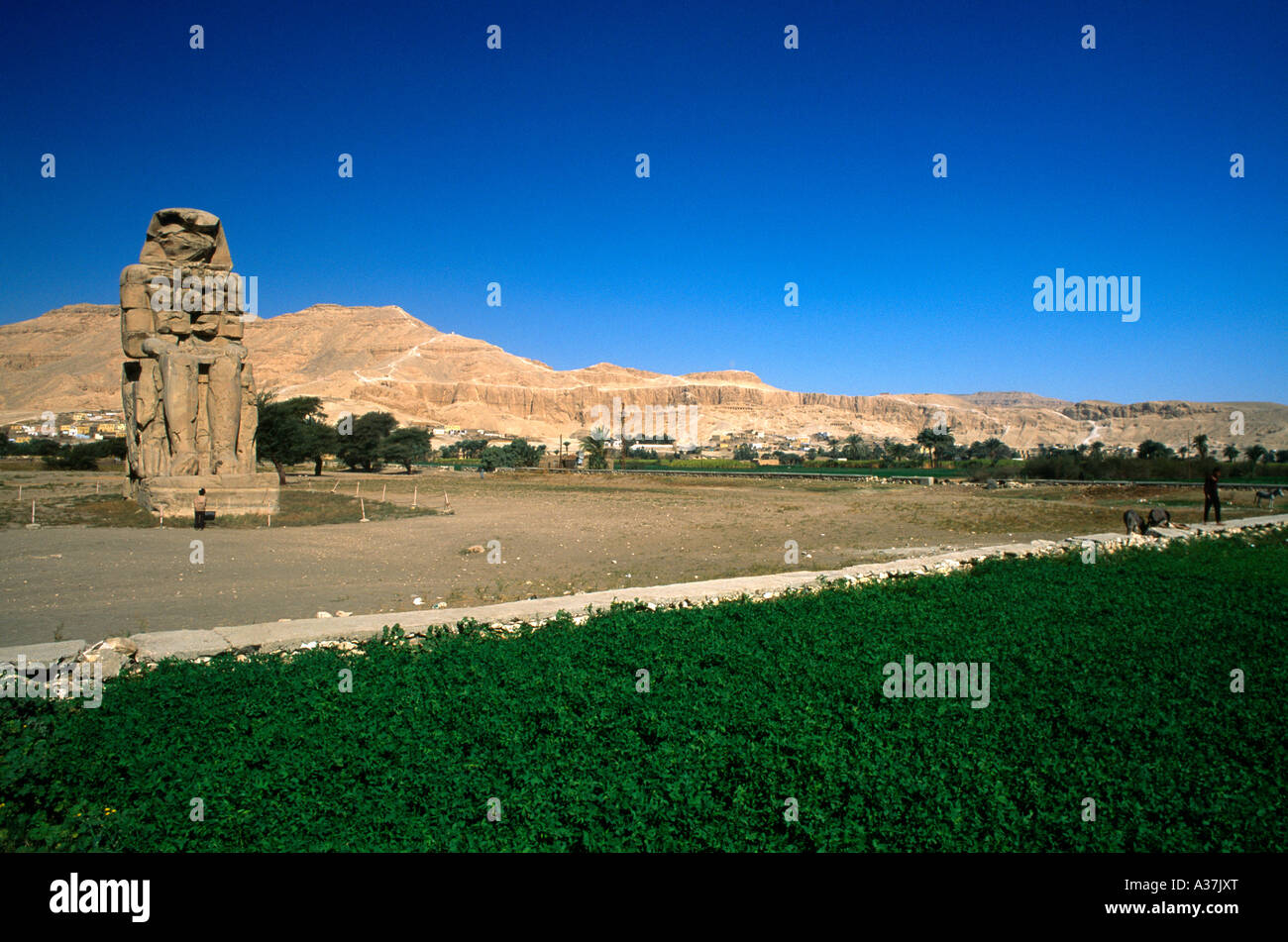 Luxor Egypt Colossi Of Memnon Remains of the Mortuary Temple of ...