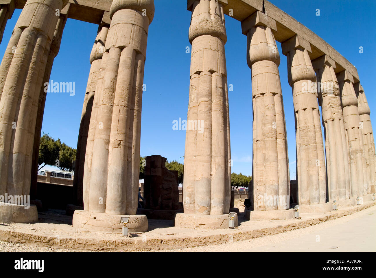 Luxor Temple columns row hieroglyphics Ramses II Nefertari decorations ...
