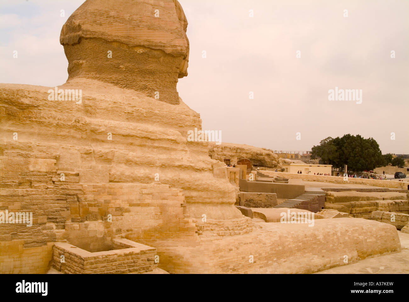 The Great Sphinx Back Legs