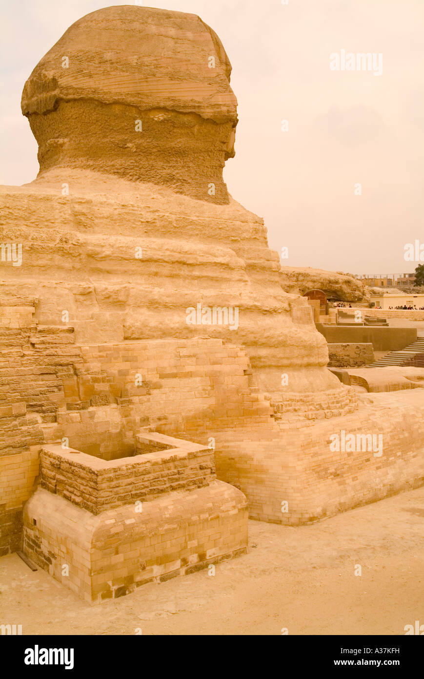 The Great Sphinx Back Legs