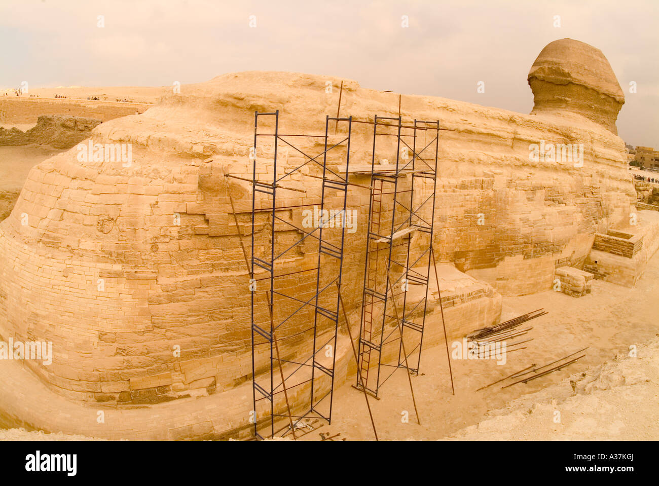 Colossal Sphinx High Resolution Stock Photography and Images - Alamy