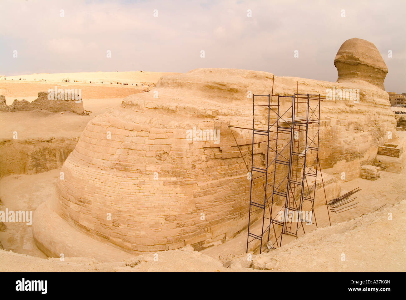 Giza the Great Sphinx likeness of king Khafre plateau back side view ...