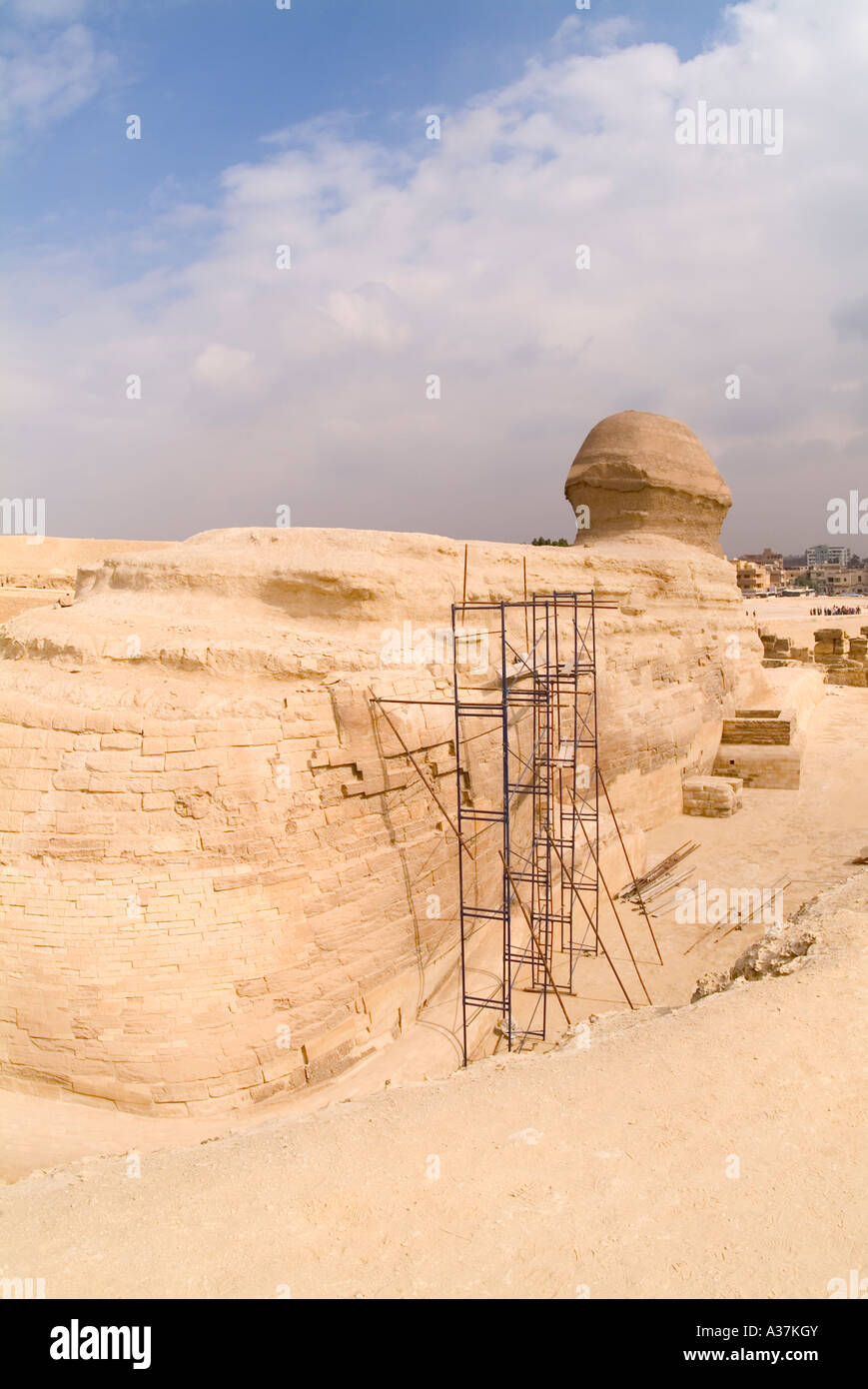 The Great Sphinx Back Legs