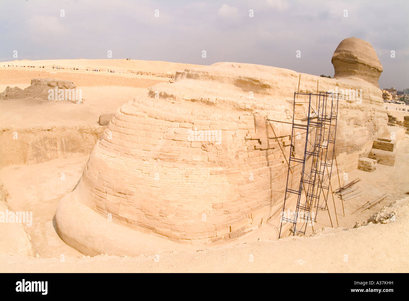 Giza the Great Sphinx likeness of king Khafre plateau back side view ...