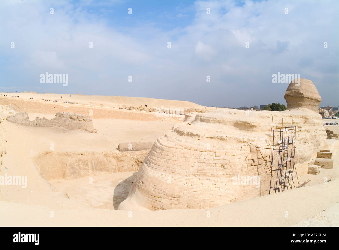 Back of sphinx egypt hi-res stock photography and images - Alamy