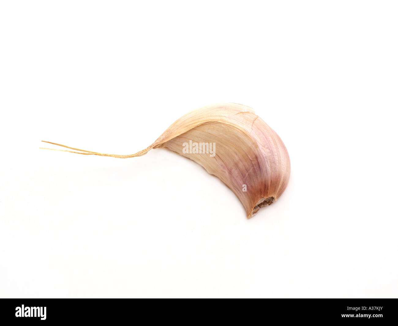 Clove of Garlic Stock Photo - Alamy