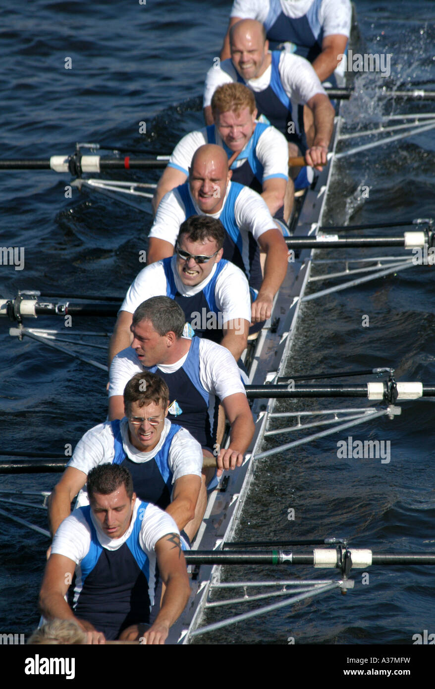 Rowing team rowing ahead ahead during a boat race on the River Vltava ...