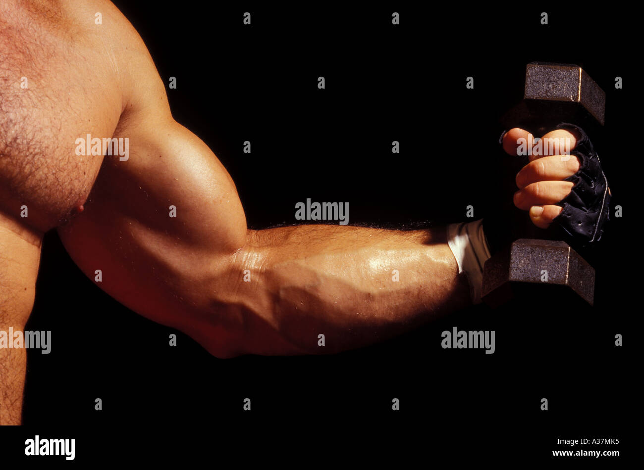 Muscle development exercises hi-res stock photography and images - Alamy