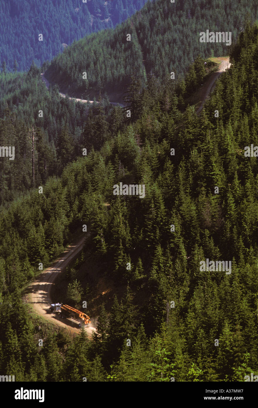A logging truck with a load of timber negotiates a curve on a road ...