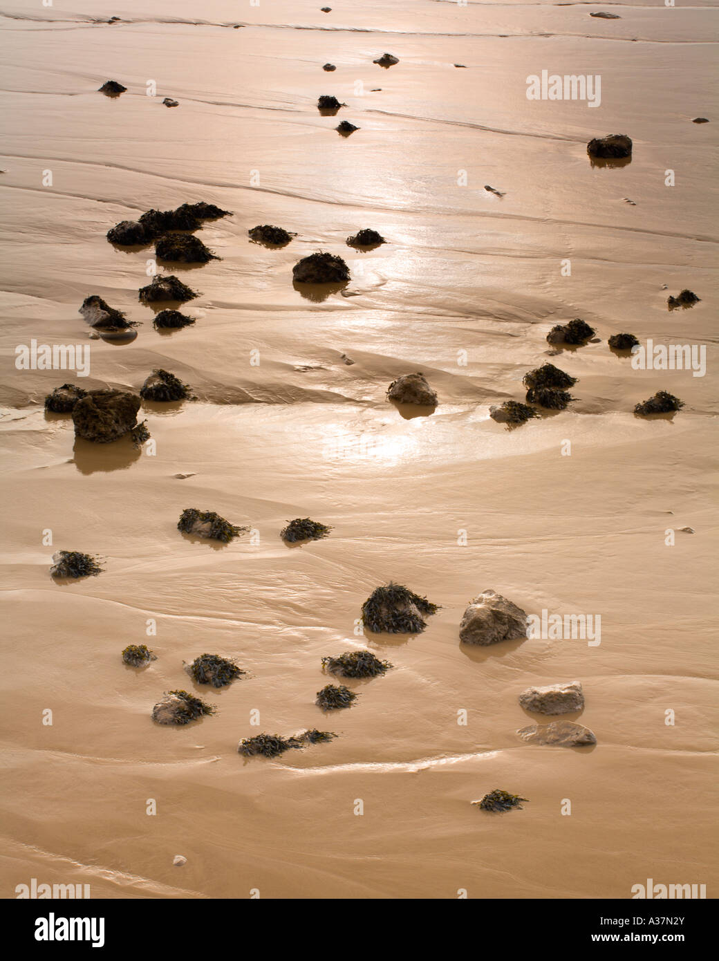 Detail of the mud and sand patterns on the beach at Clevedon Somerset ...