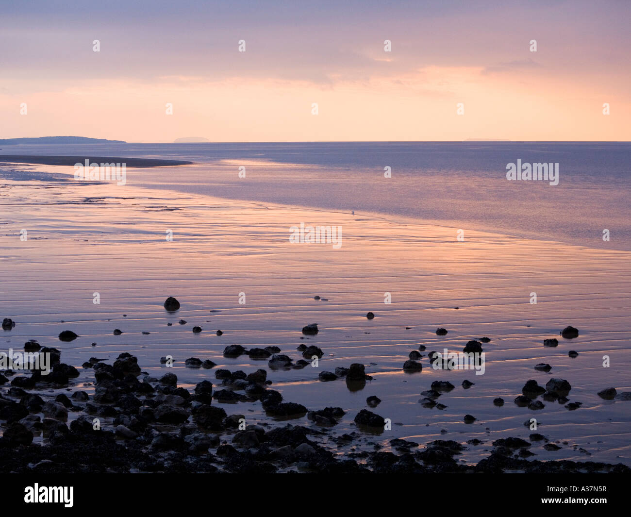 Clevedon mud hi-res stock photography and images - Alamy