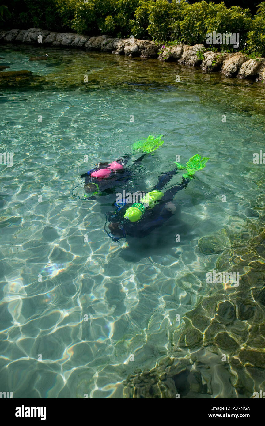 Couple in scuba gear in stingray pool Discovery Cove Orlando FL Florida ...