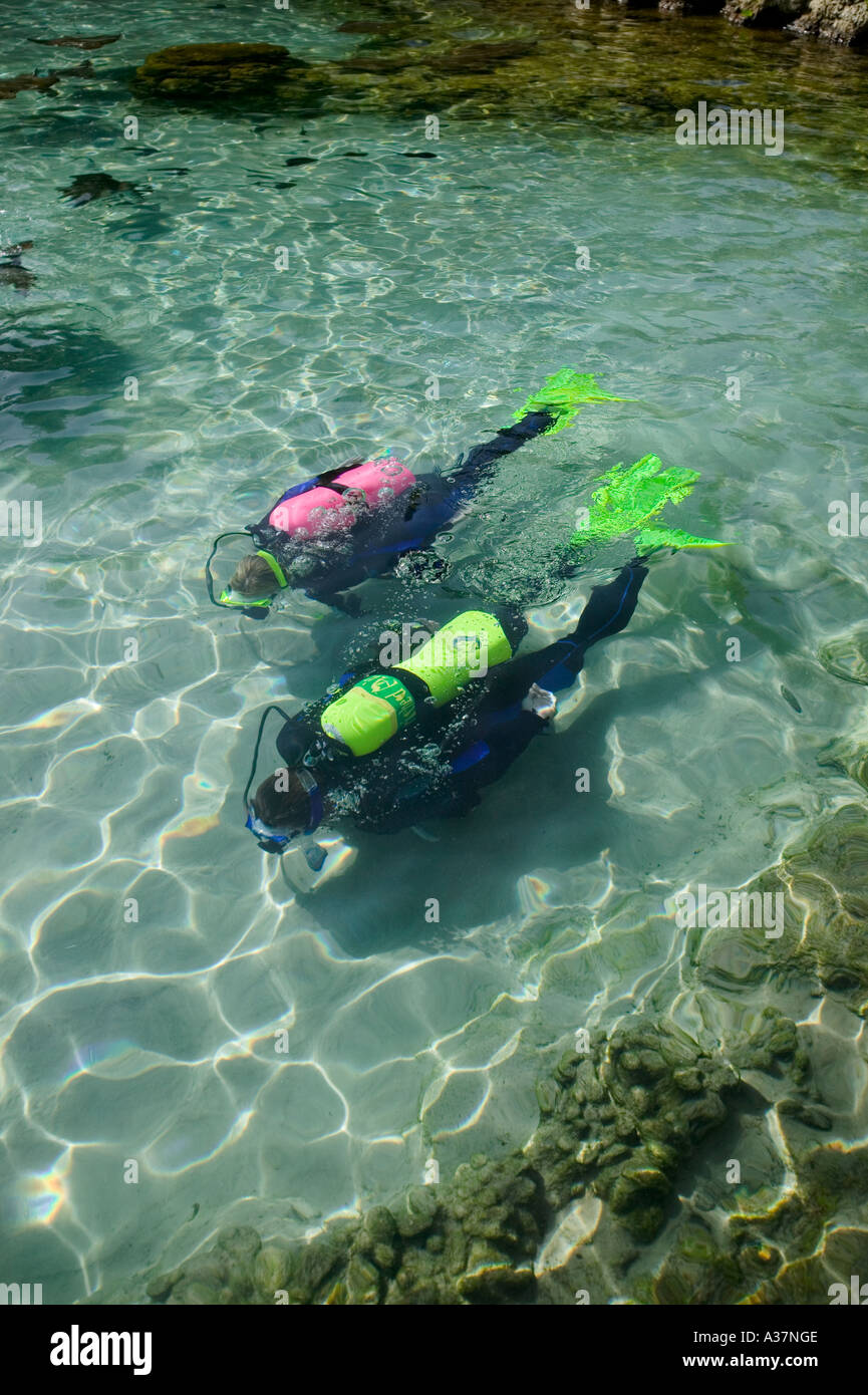 Couple in scuba gear in stingray pool Discovery Cove Orlando FL Florida ...