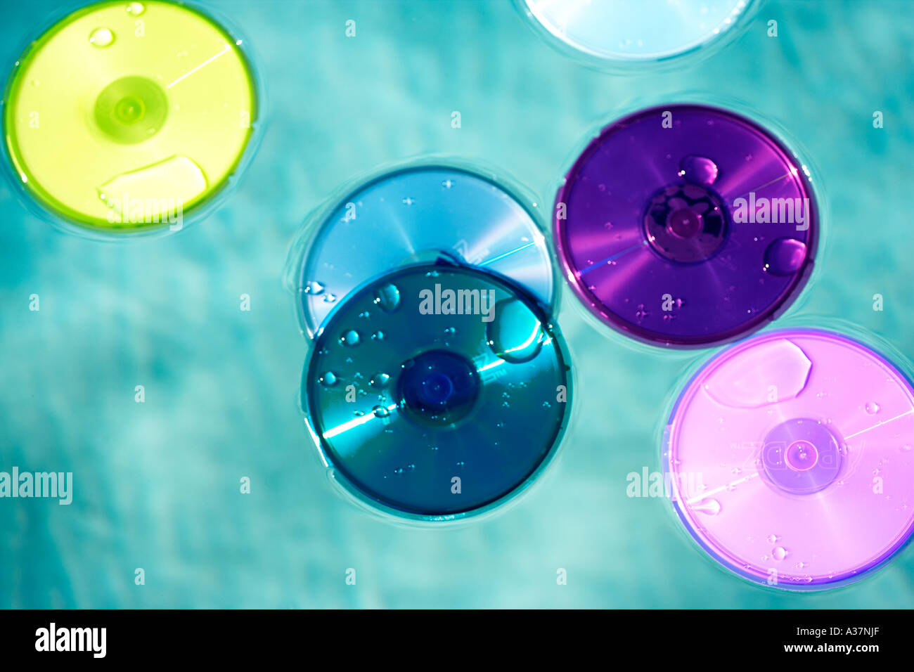 Podz hi-res stock photography and images - Alamy