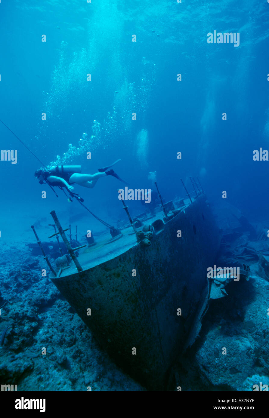 Grand Cayman underwater diver swims over the wreck of the Oro Verde ...
