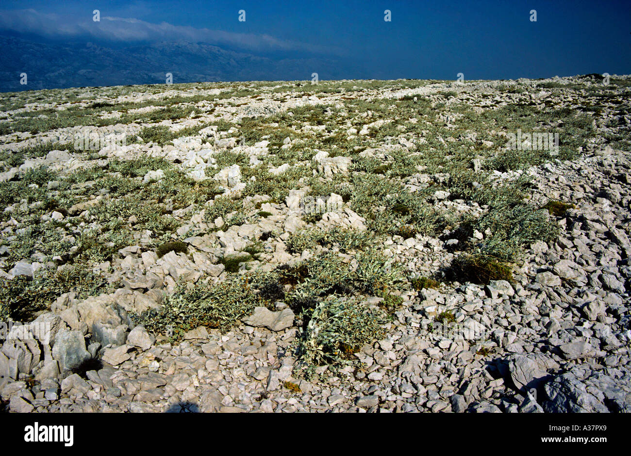Karst plateau, slovenia hi-res stock photography and images - Alamy