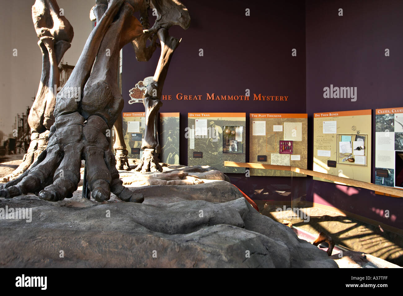 Wisconsin kenosha public museum interior hi-res stock photography and ...
