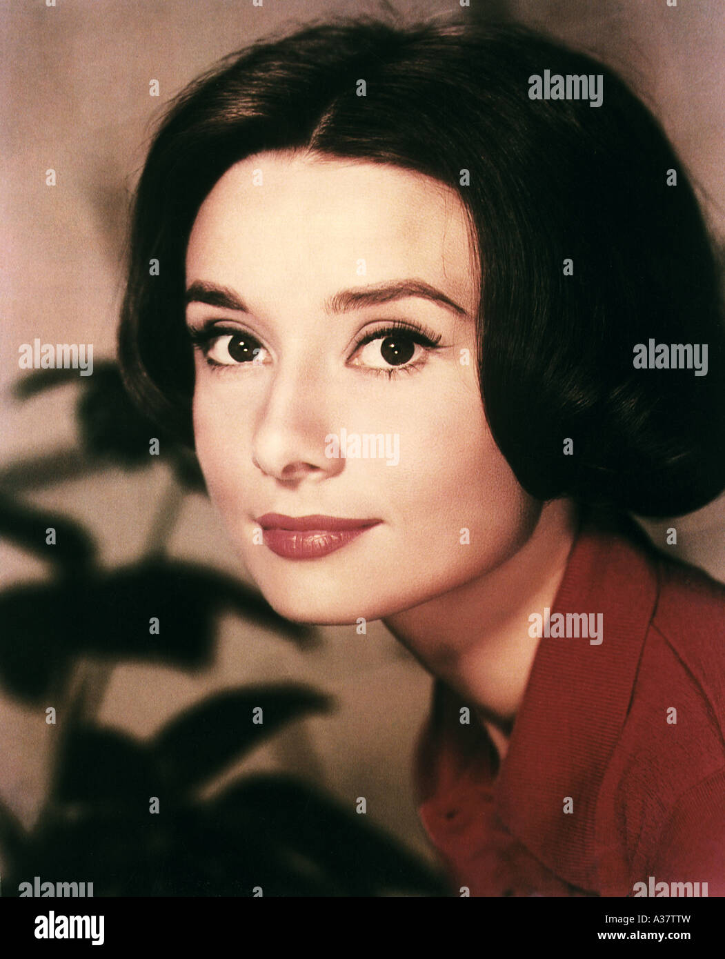 AUDREY HEPBURN Belgian-born film actress 1929 to 1993 Stock Photo - Alamy