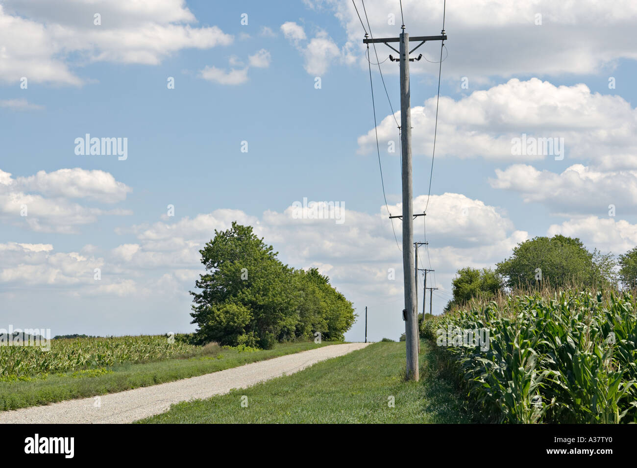 ILLINOIS Near Harvard Telephone poles and lines rural road in ...