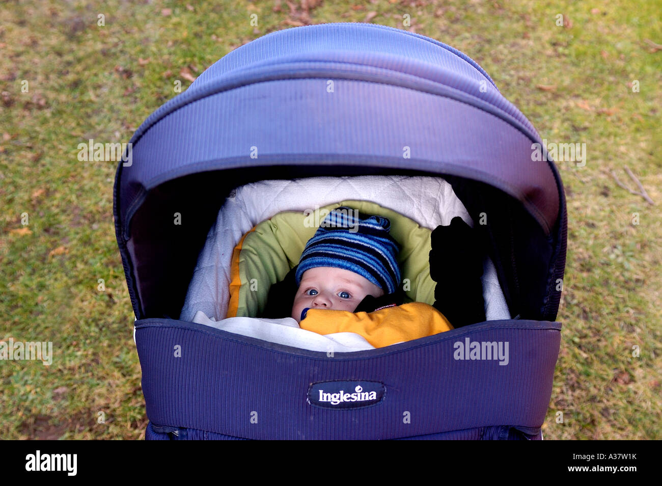 Baby in a pram Stock Photo - Alamy
