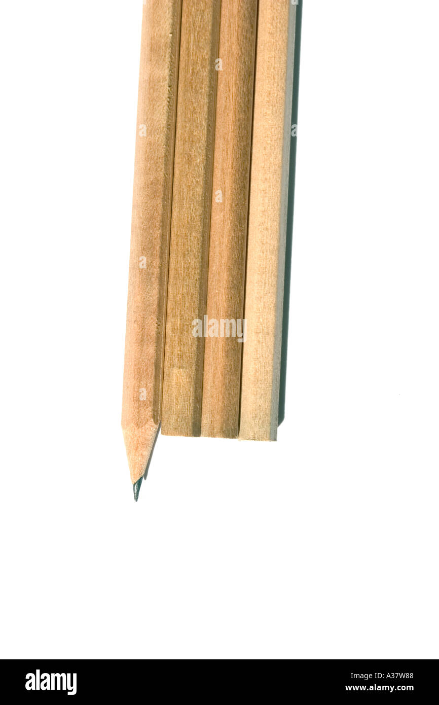 Business concept with group of crayon and 1 leader Stock Photo - Alamy