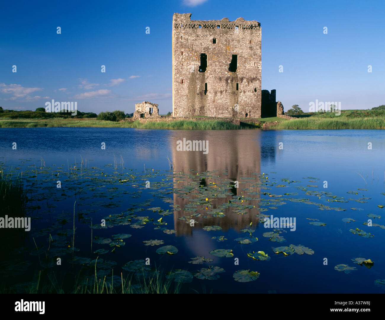 Historic monument summer lilies on the River Dee looking across to ...