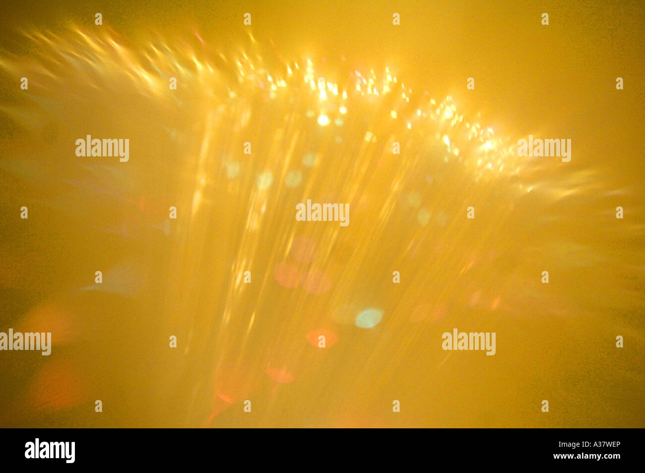 fibre optic light illumination abstract art arty colour color ...