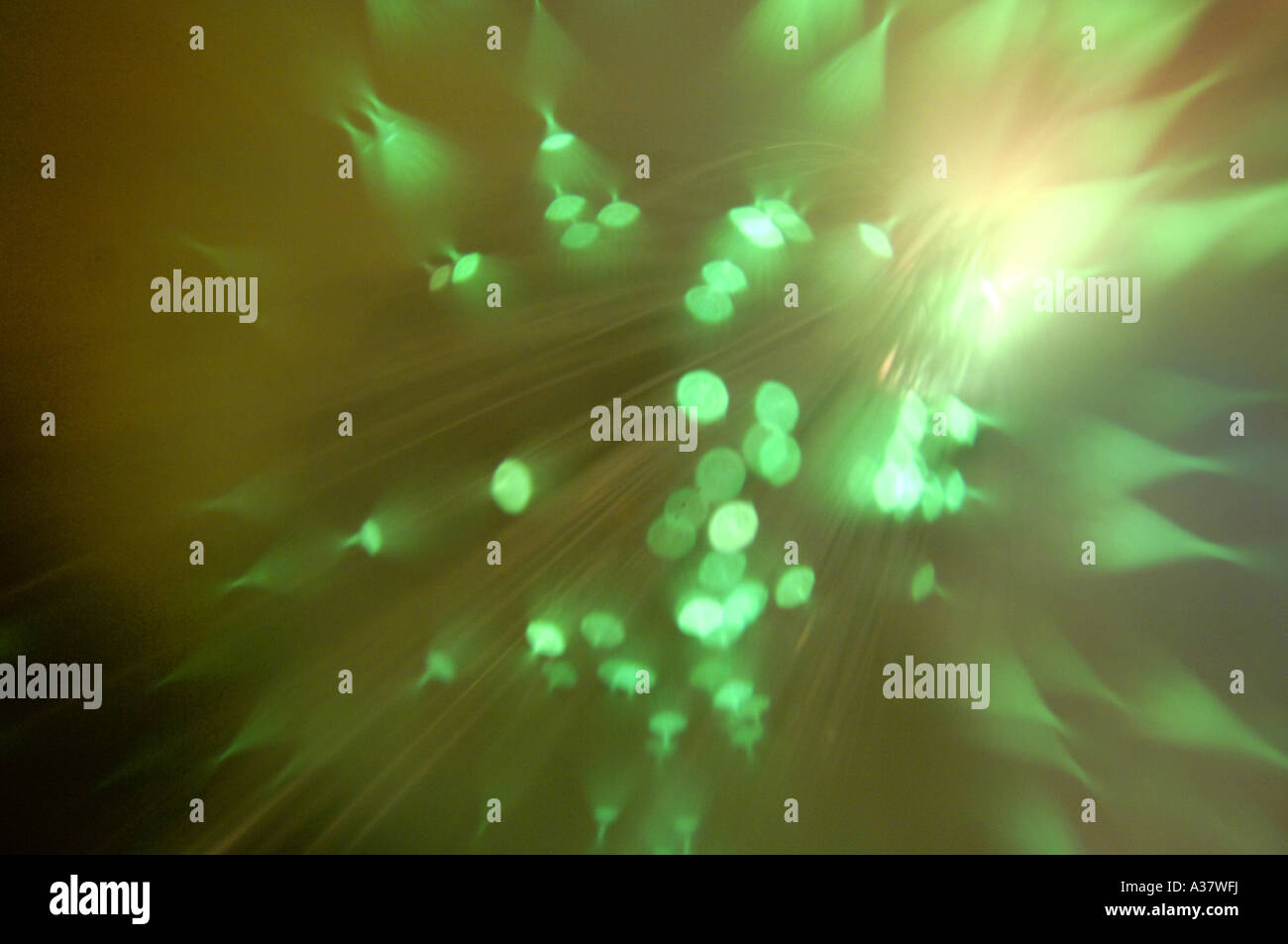 fibre optic light illumination abstract art arty colour color ...