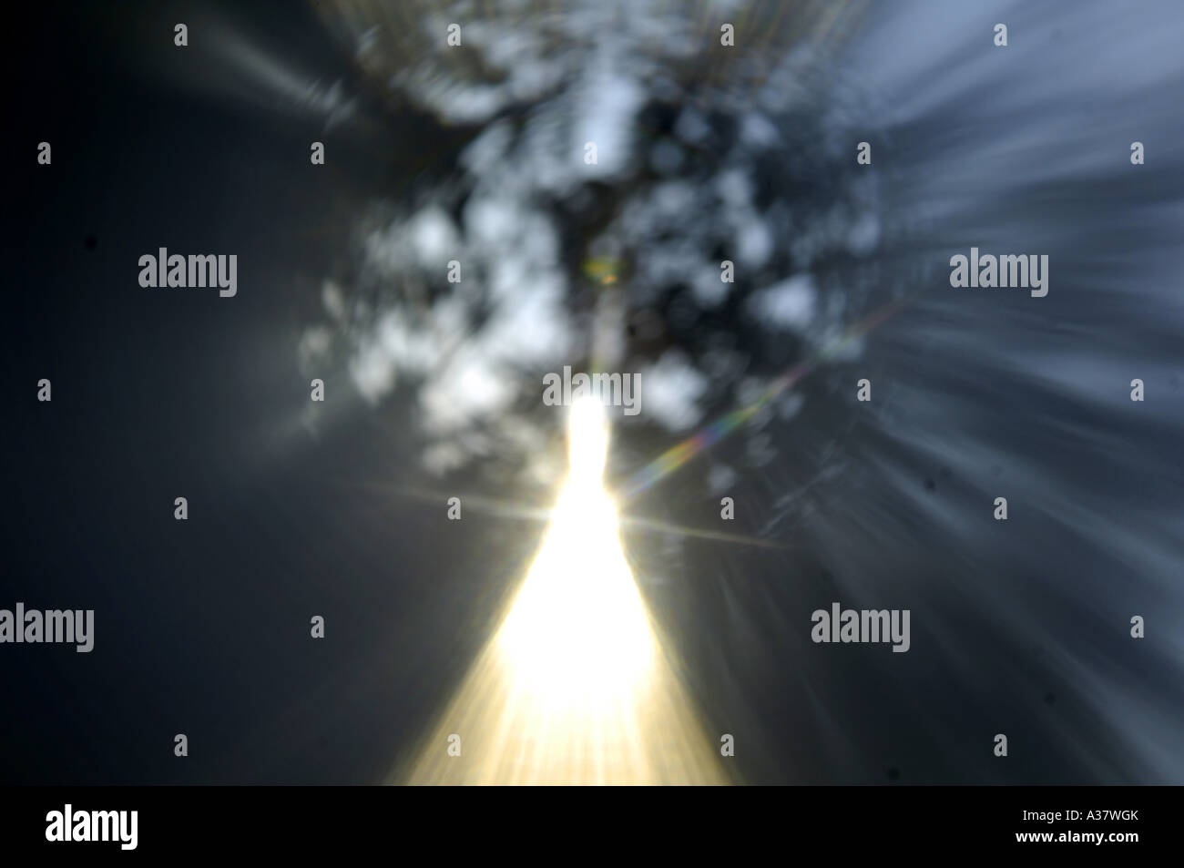 sunlight trees abstract light refraction filter effecets branches ...