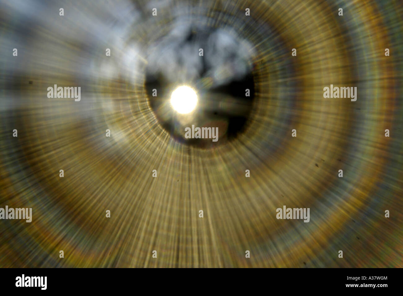 sunlight trees abstract light refraction filter effecets branches ...