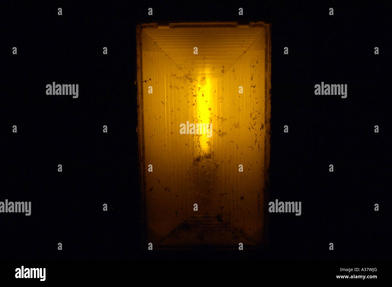 orange light rectangle moody negative sinister glow luminescent ...