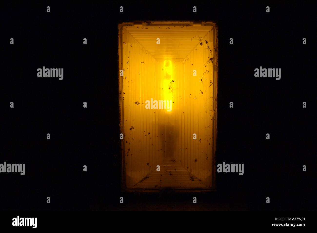 orange light rectangle moody negative sinister glow luminescent ...