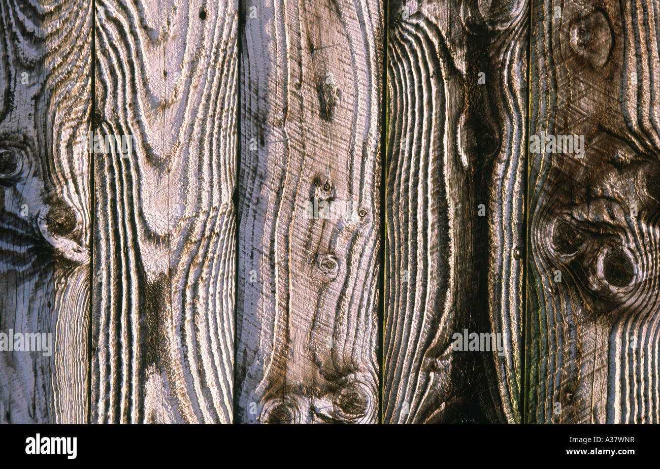 Texture weathered aged wooden planks of wood on side of shed showing ...