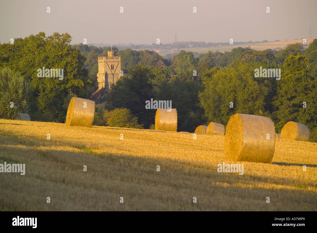 The Church of St Peter and St Paul, Farningham Kent Stock Photo - Alamy