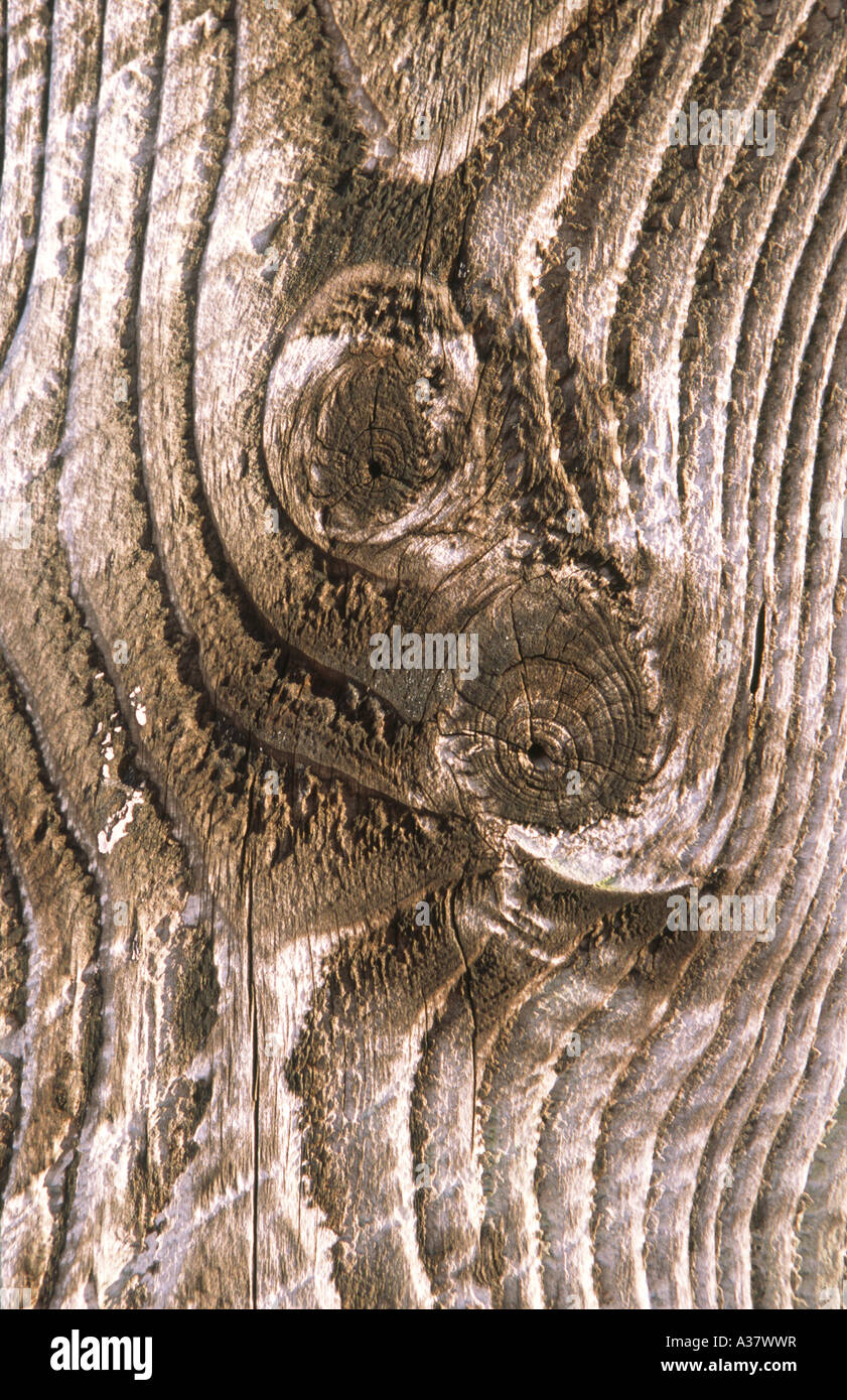 Weathered textured worn wood planks Stock Photo - Alamy