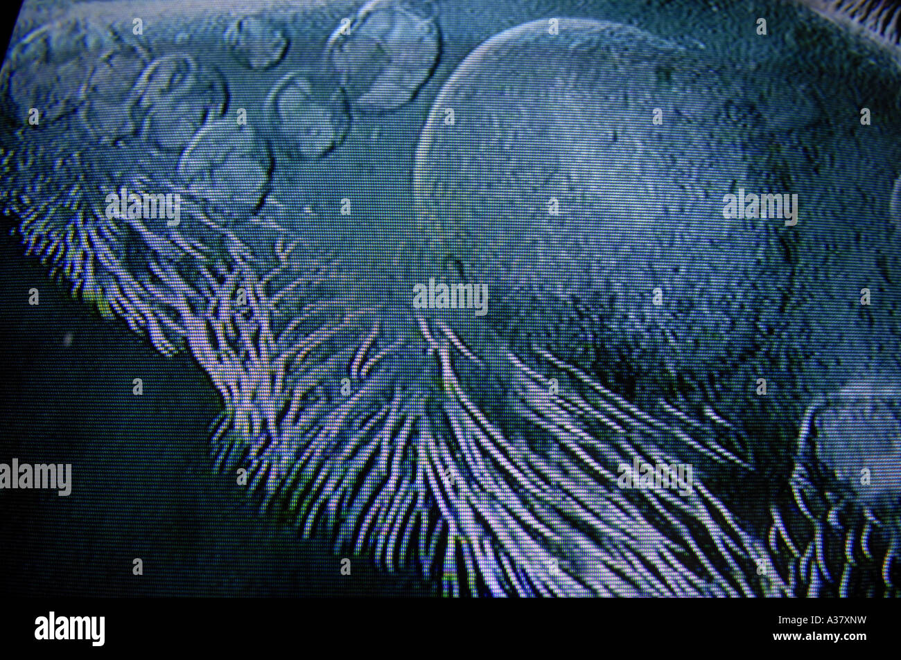 microbe macro blue weird abstract horizontal micro organism science ...