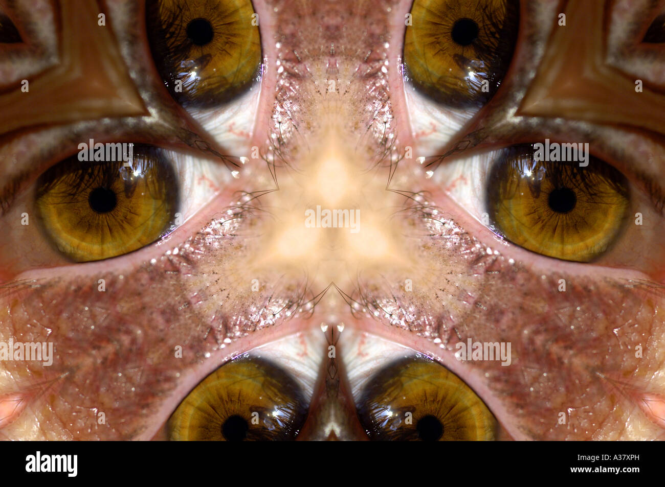 eyes kaleidoscope kaleidoscopic freaky weird surreal scary horror sci ...