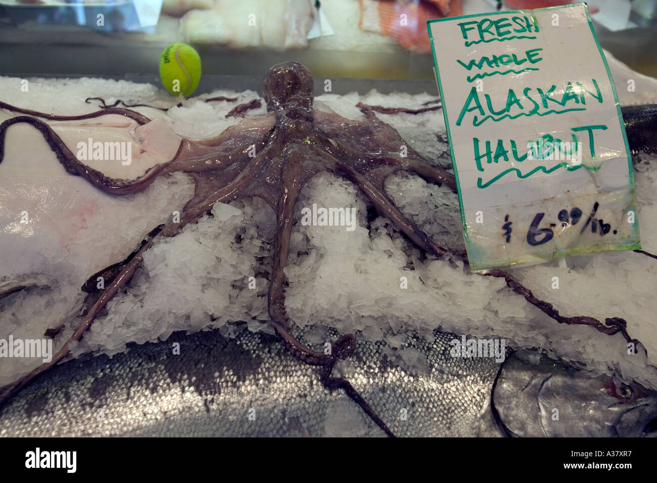 Octopus for sale, Pike Place Market, Seattle, Washington State, America ...