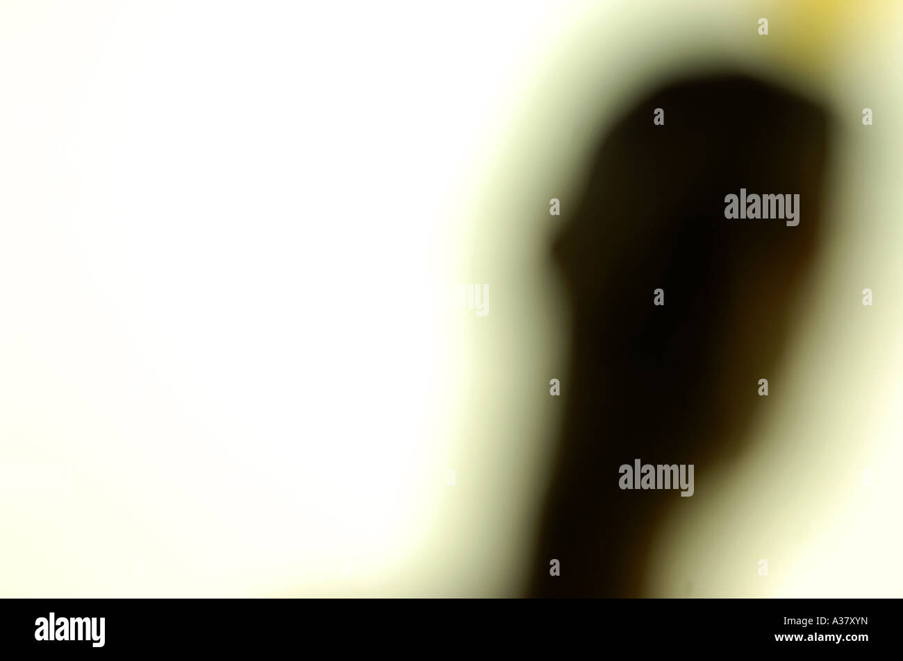 shadow face portrait head generic blur blurred blurry arty art ...