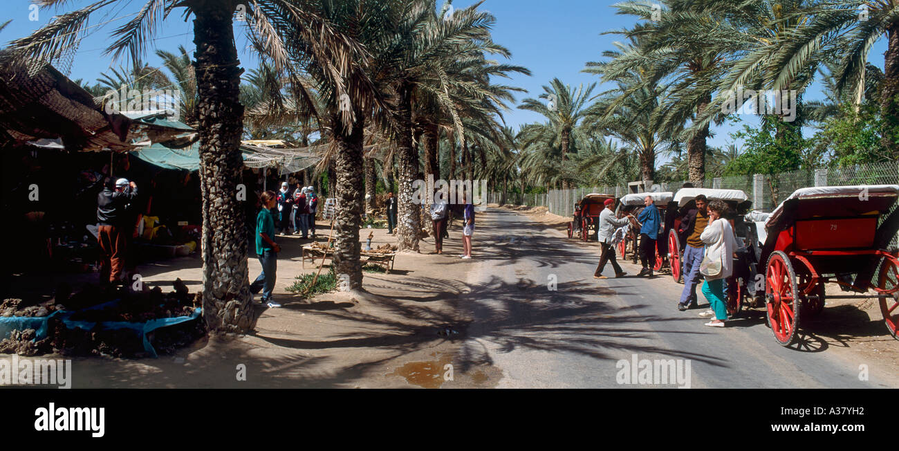 Oasis of gabes hi-res stock photography and images - Alamy