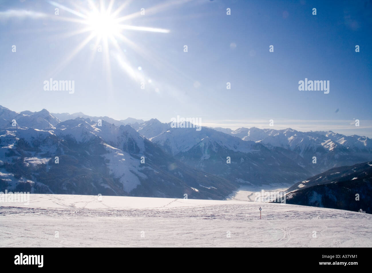 Actinism hi-res stock photography and images - Alamy