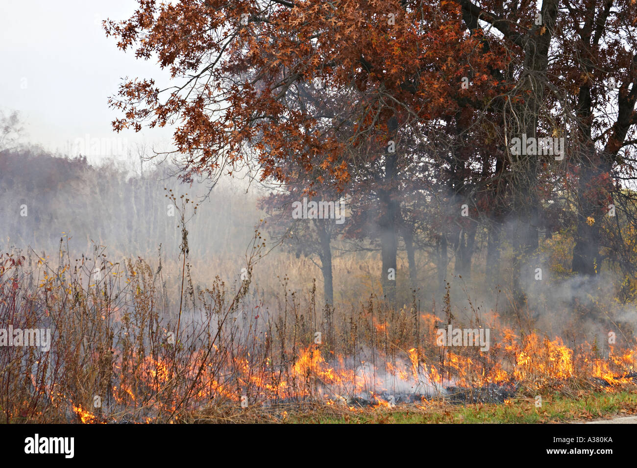 Prescribed prairie fire burn hi-res stock photography and images - Alamy