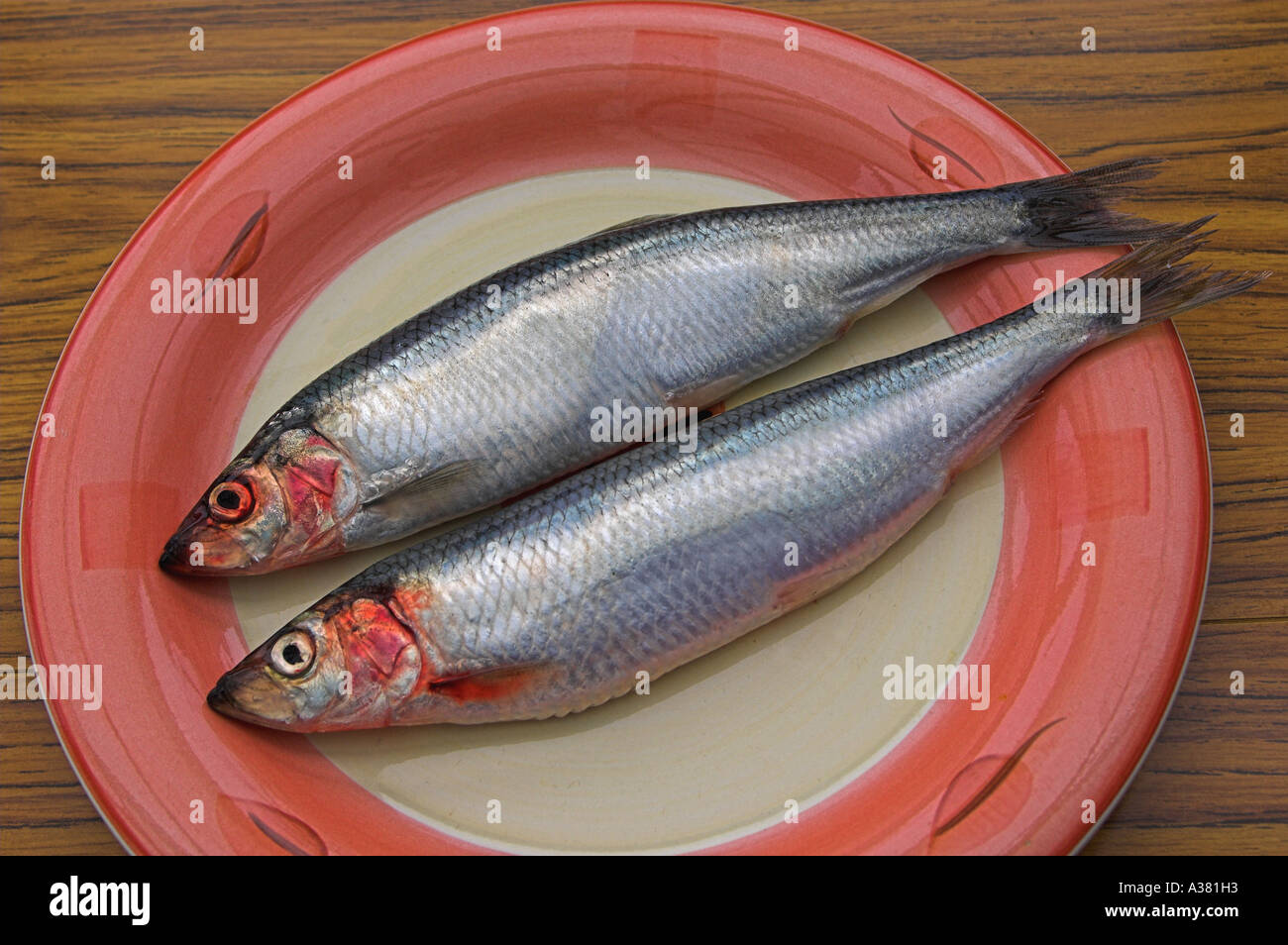The herring hi-res stock photography and images - Alamy