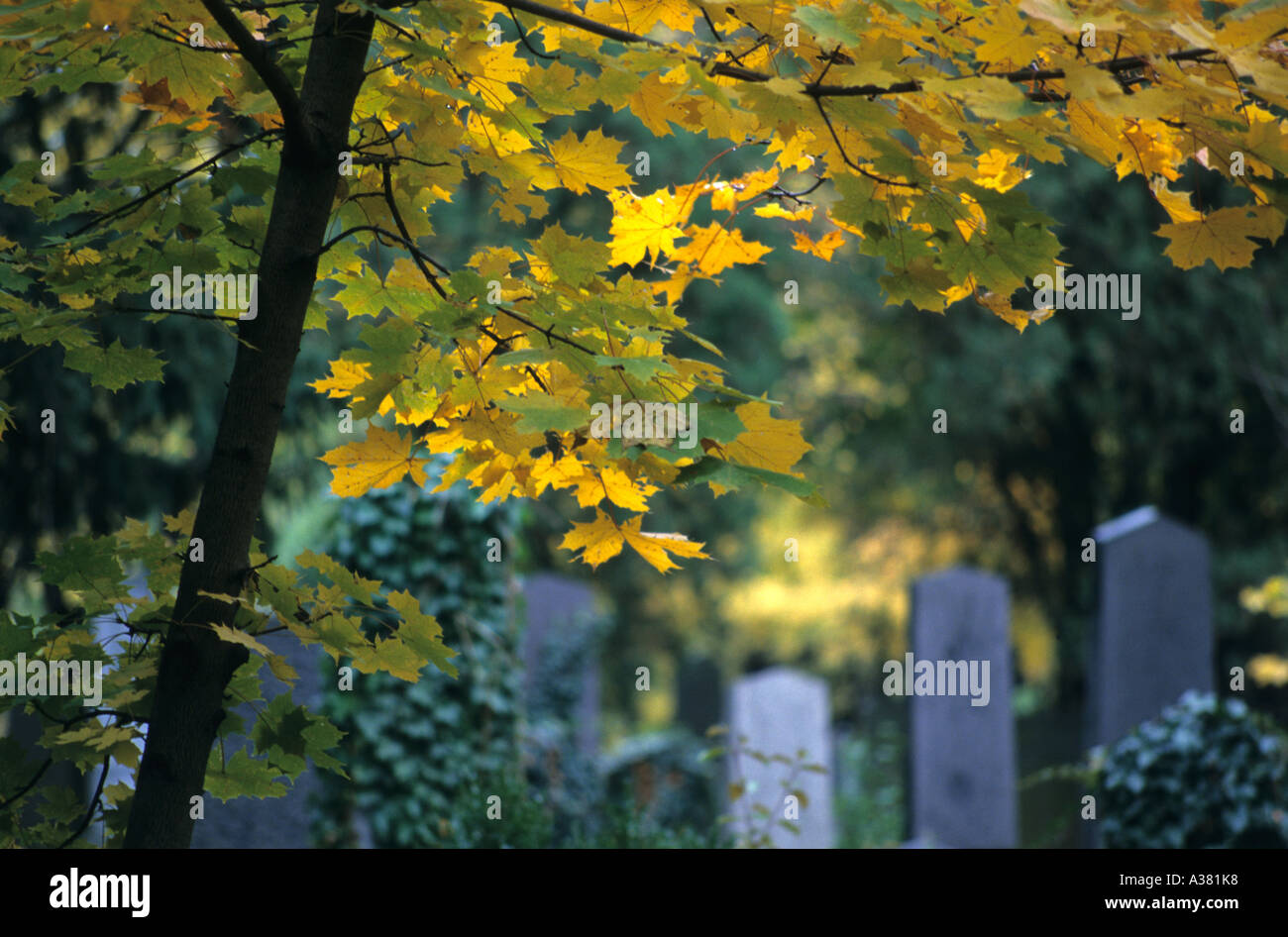 Gravestones in zentralfriedhof main cemetery hi-res stock photography ...
