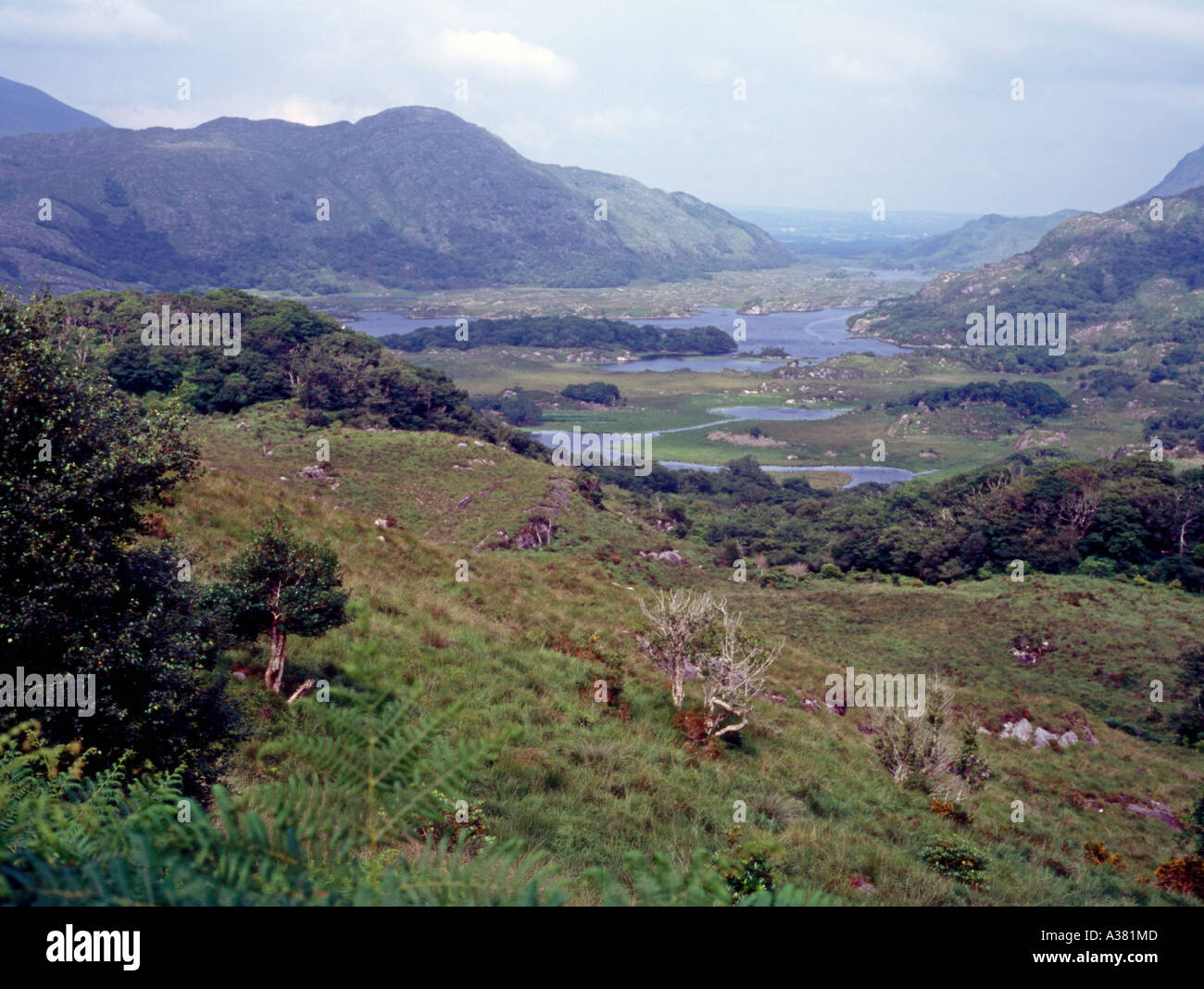 The scene across the Lakes of Killarney from Ladies View looking ...