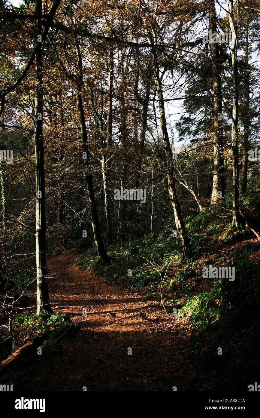 Gelt hi-res stock photography and images - Alamy