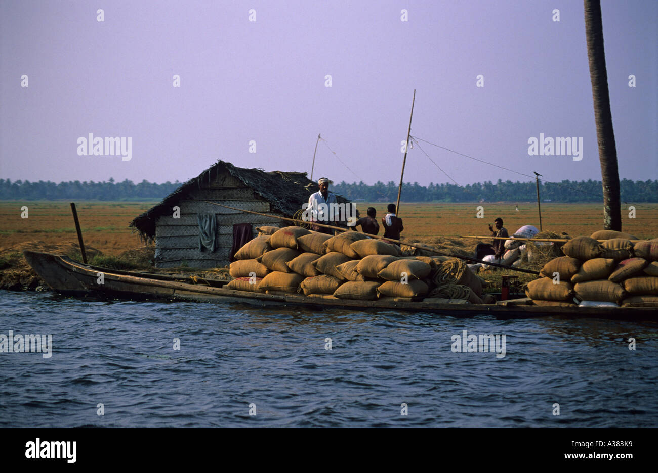 Rice loading india hi-res stock photography and images - Alamy