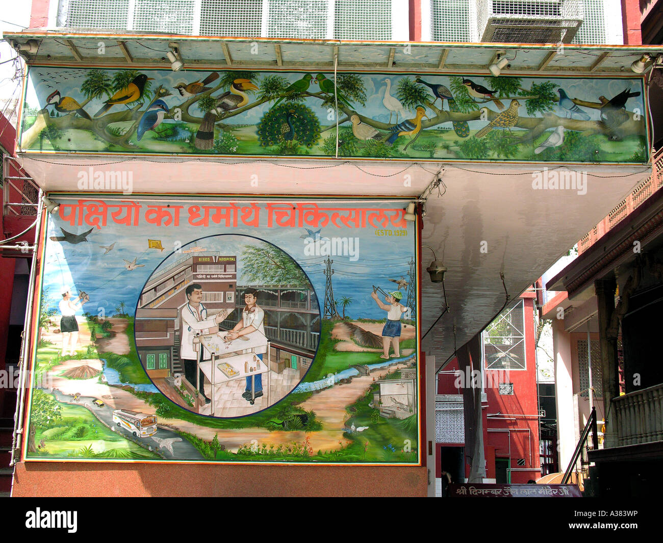 Hospital jain bird hi-res stock photography and images - Alamy