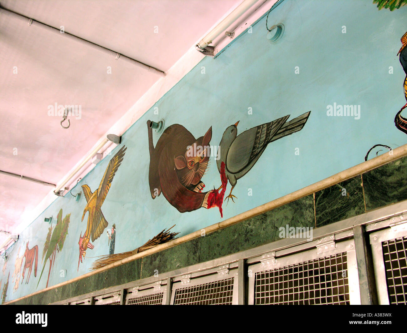 Jain Charity Bird Hospital Old Delhi India Stock Photo - Alamy