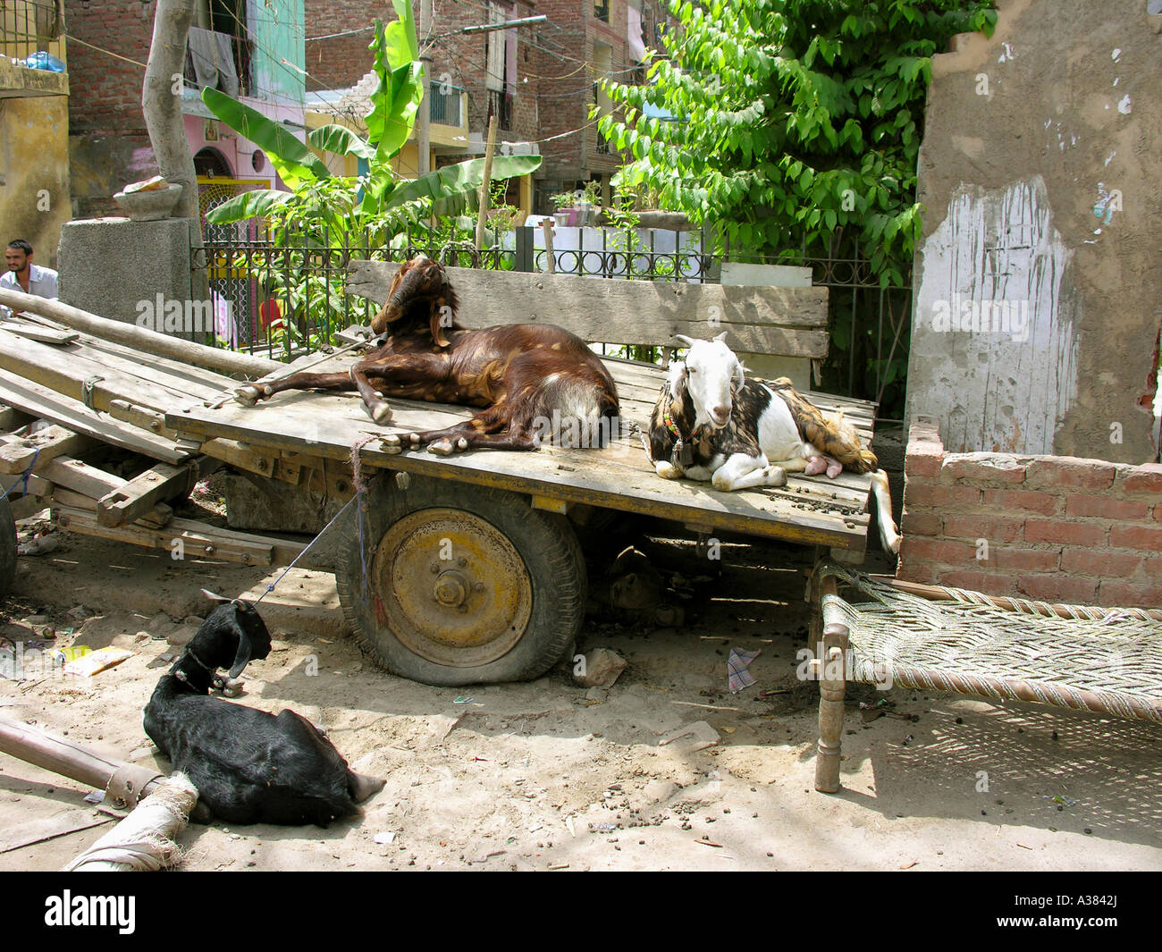 Slum community in east Delhi India that is working with the charity ...